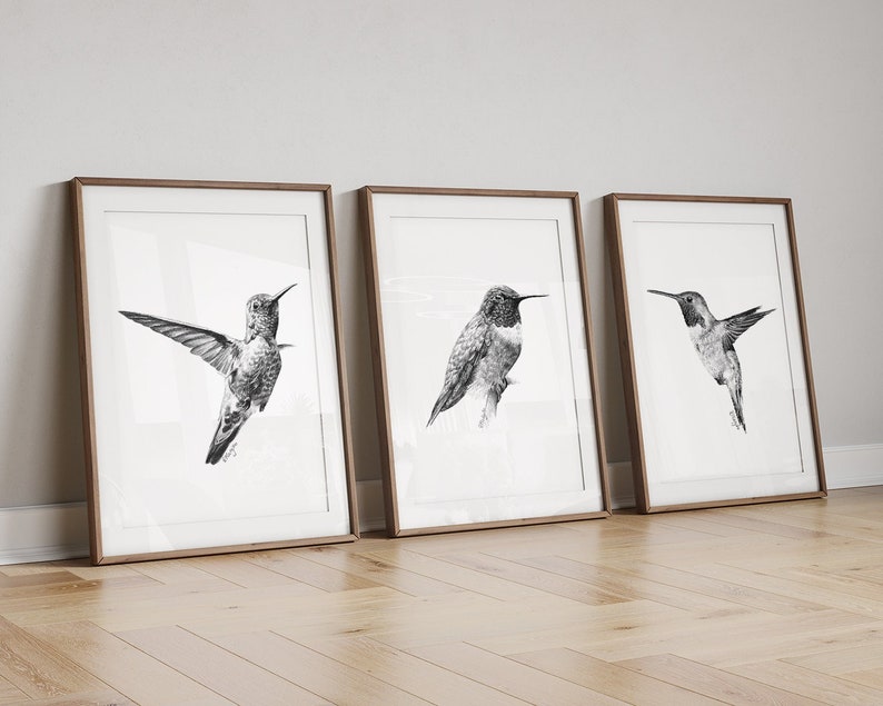 PRINTABLE Hummingbirds Art Print Set of 3 Hummingbirds Pencil - Etsy