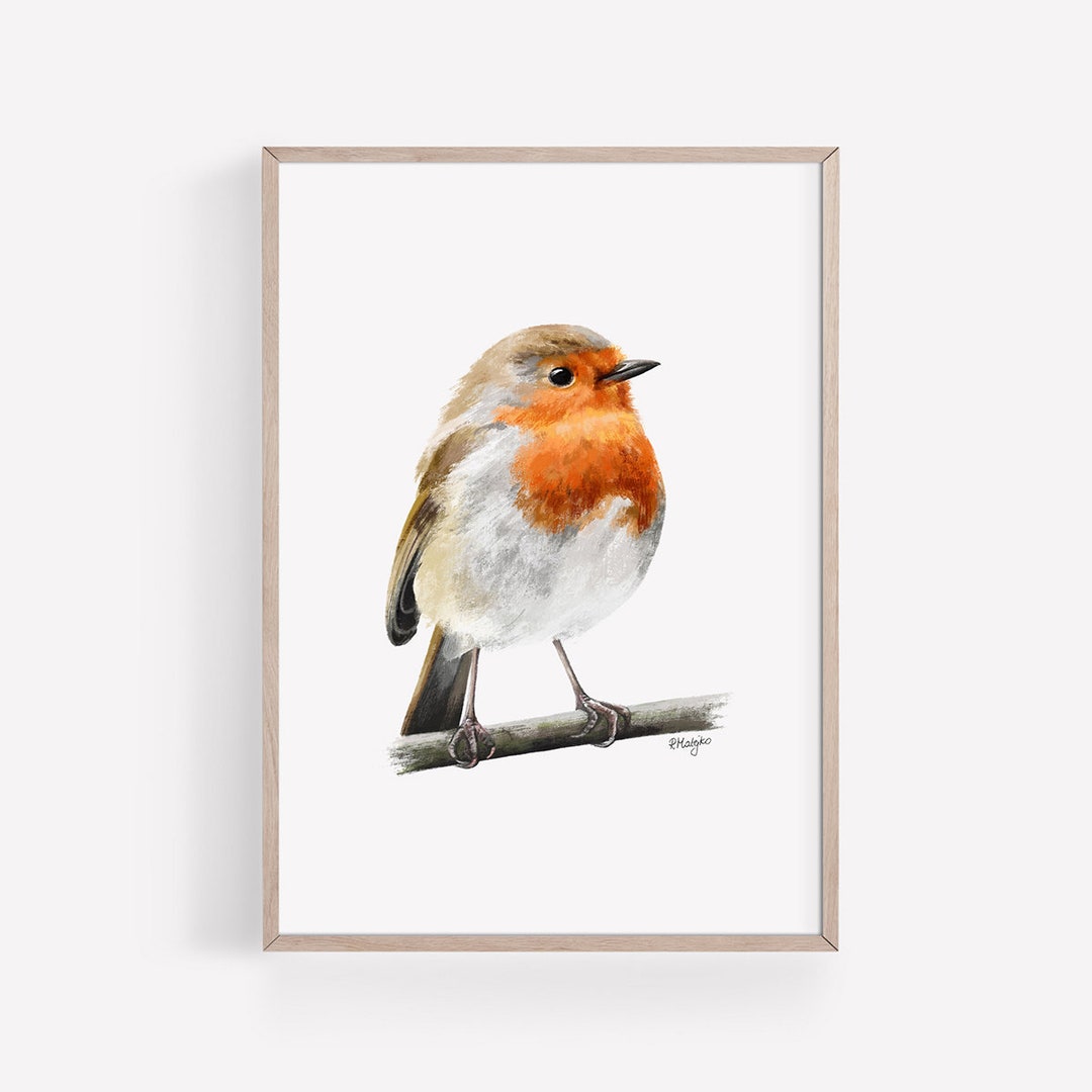 PRINTABLE Robin Wall Art Print, Robin Redbreast Bird Painting, Garden ...
