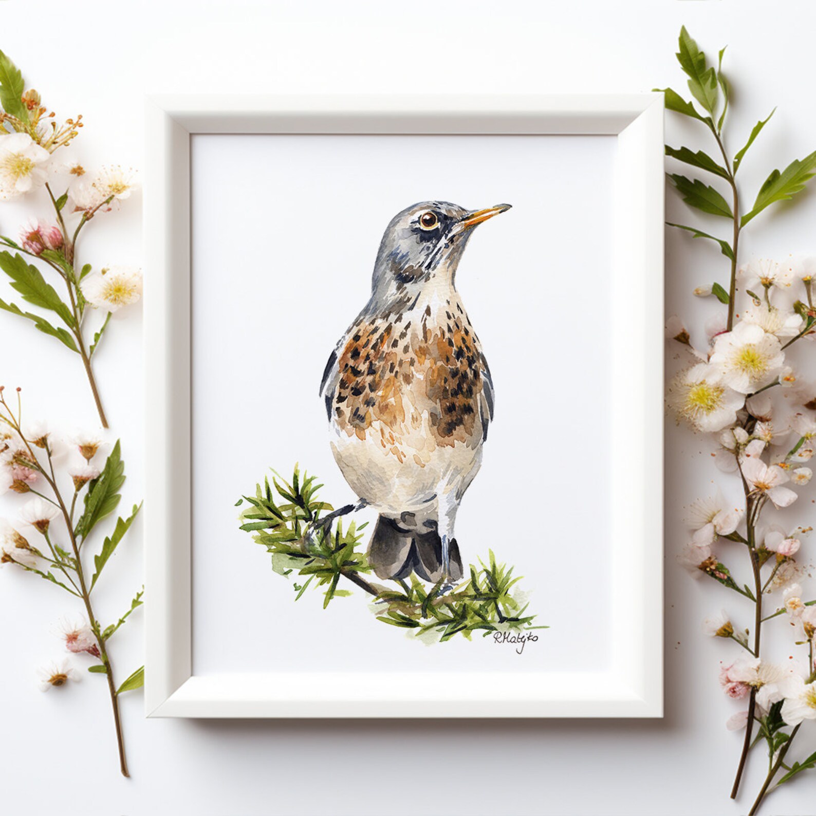 Fieldfare Art PRINT, Winter Bird Watercolour Painting Wall Art, British ...