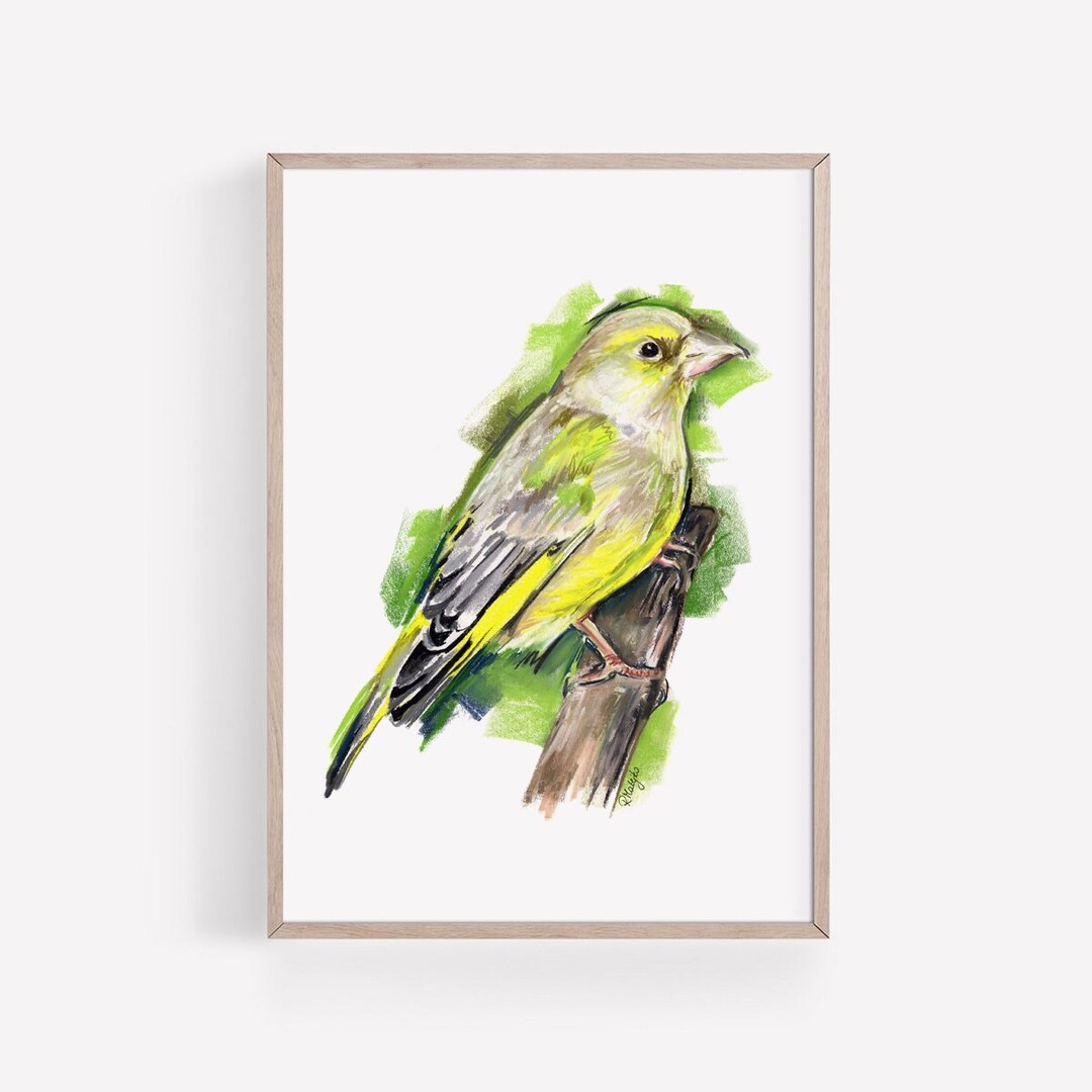 Greenfinch Art PRINT, Bird Drawing, Garden Bird Sketch, Yellow and ...