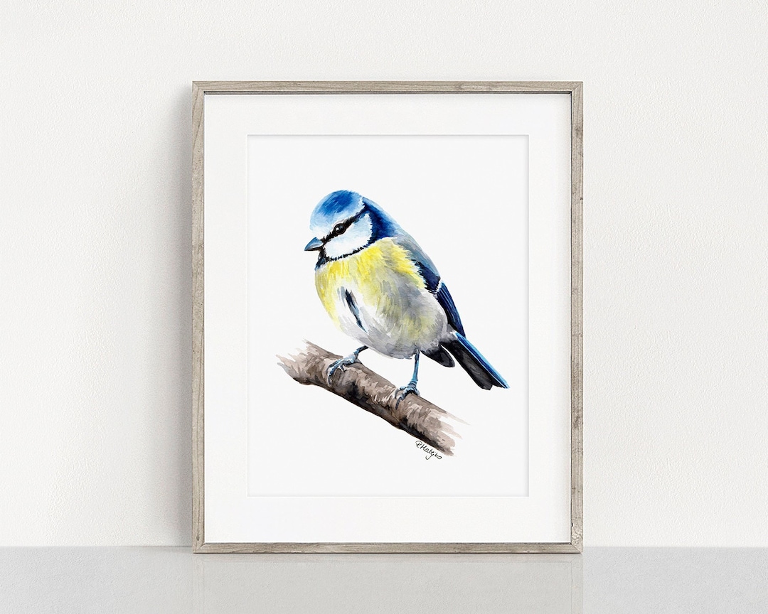 Blue Tit Art PRINT, Watercolor Blue Tit Painting, British Bird Decor ...