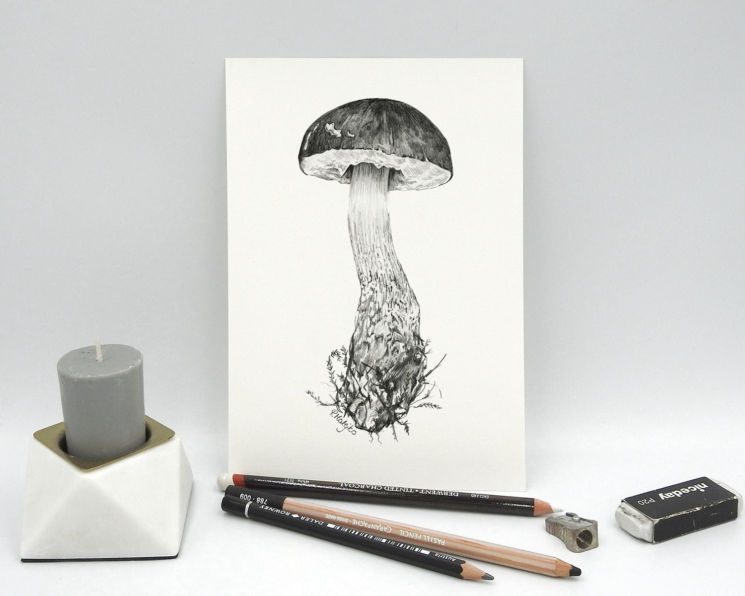 Mushroom Drawings Pencil