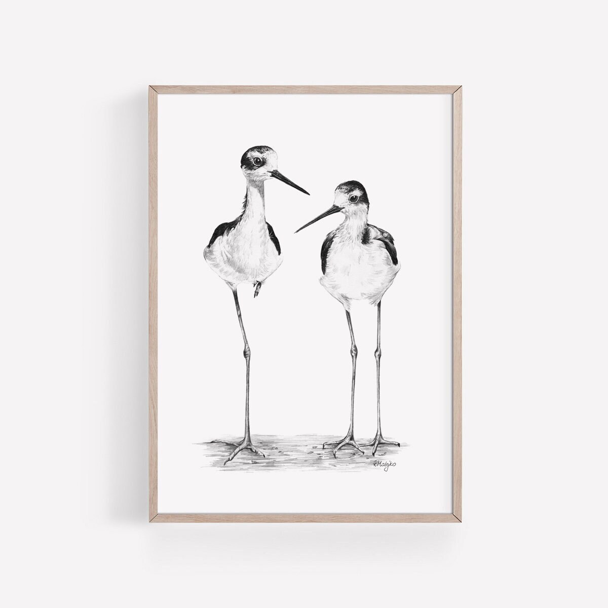 PRINTABLE Stilt Birds Art Print, Wading Birds Pencil Drawing, Water ...