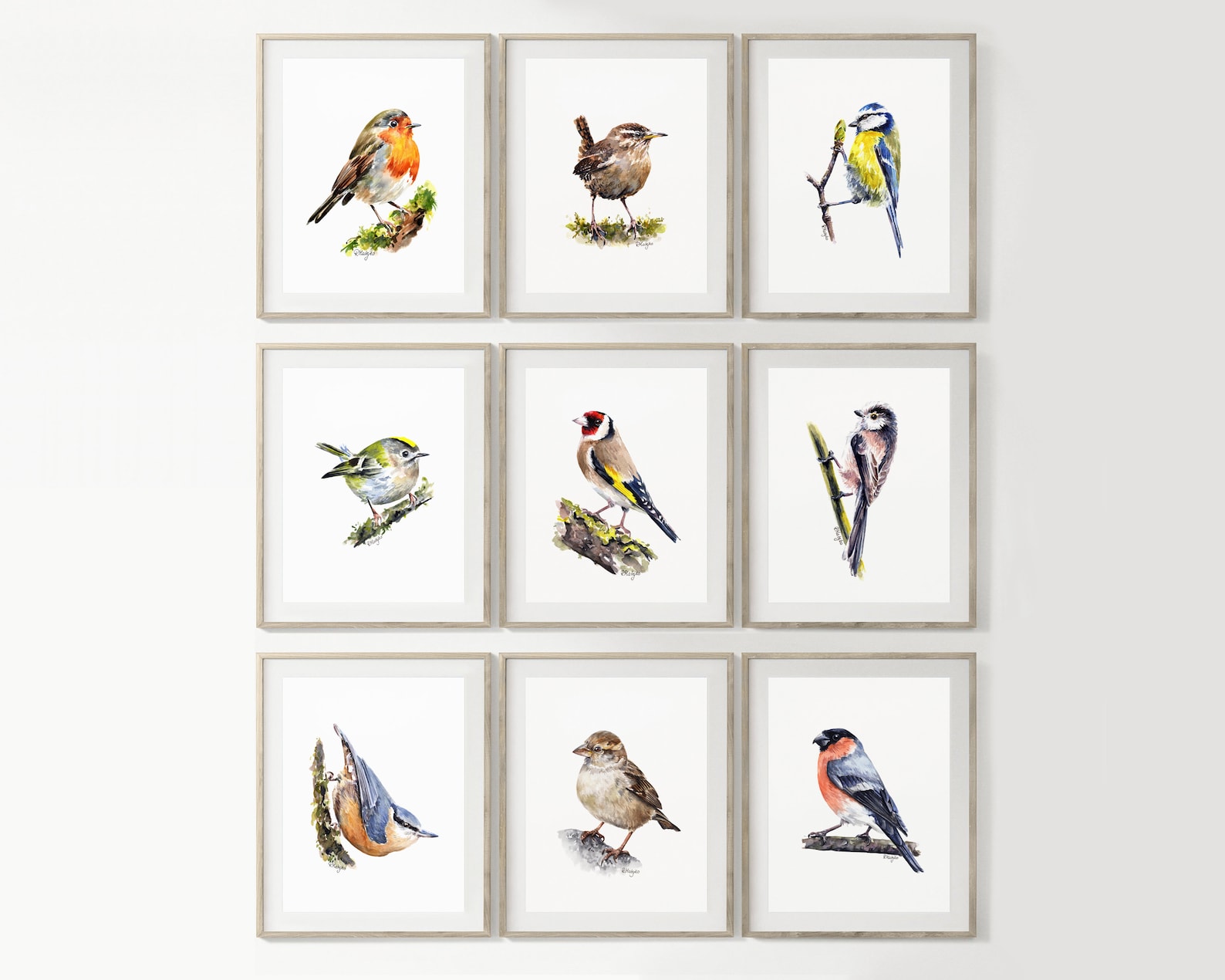 Garden Birds PRINT Set of 9, Robin Wren Blue Tit Goldfinch Long-tailed ...