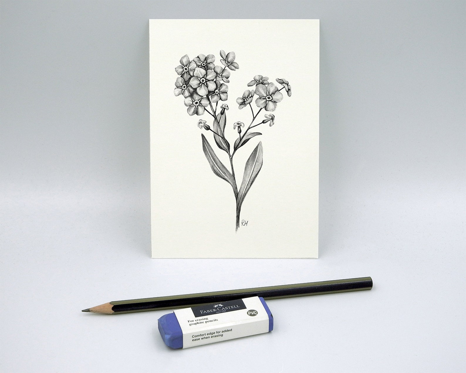ORIGINAL Forget-me-not Pencil Drawing Botanical Wall Art | Etsy