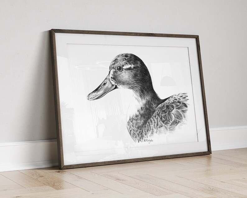 PRINTABLE Duck Art Print Duck Pencil Drawing Wall Art - Etsy