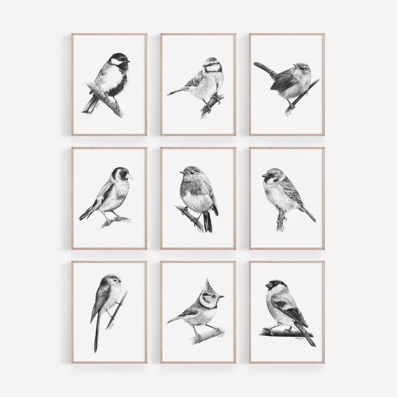 PRINTABLE Garden Birds Art Print Set of 9 British Birds - Etsy
