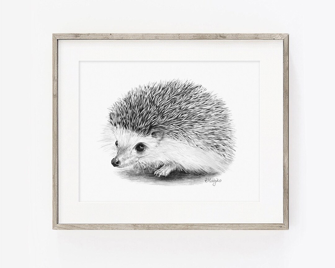 Hedgehog Art PRINT, Hedgehog Pencil Drawing Wall Art, Woodland Decor ...