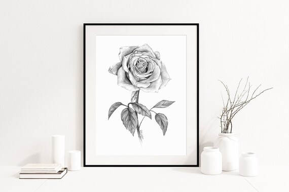 Rose sketch Botanical printable art Rose wall art Black white wall art ...