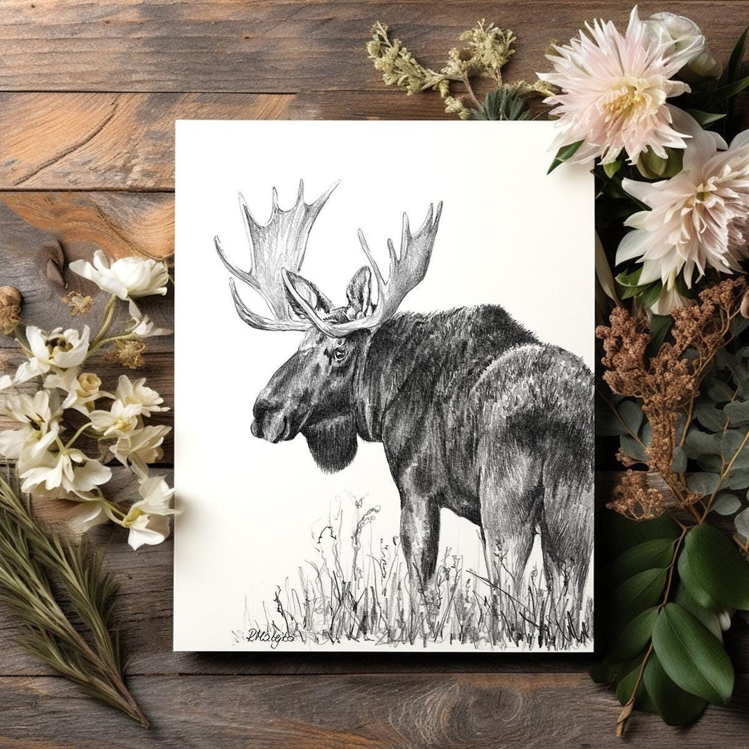 ORIGINAL Moose Pencil Drawing, Elk Hunting Wall Art, Nature Woodland ...