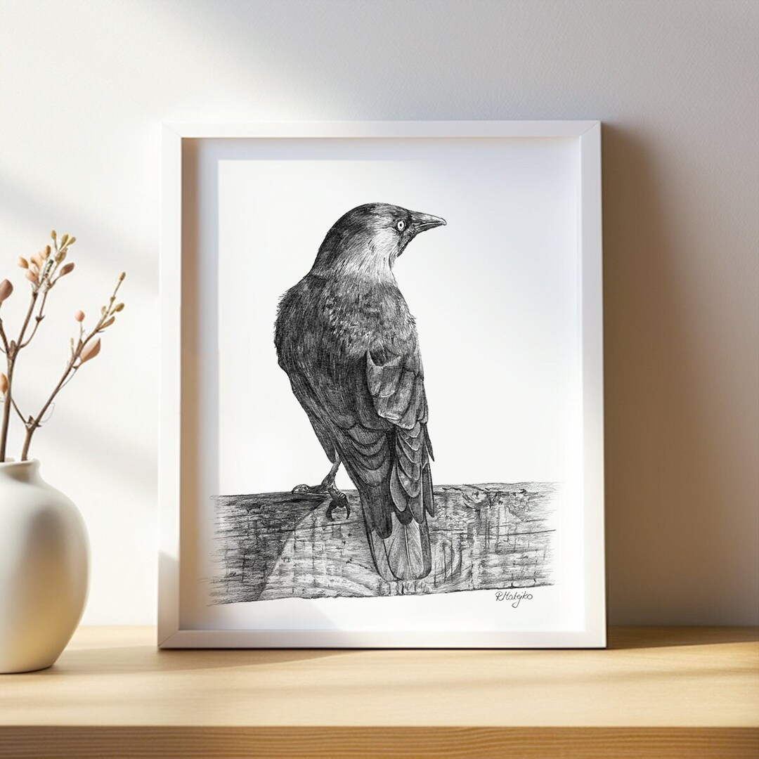 Jackdaw Art PRINT, Corvid Bird Pencil Drawing Wall Art, Wildlife Print ...