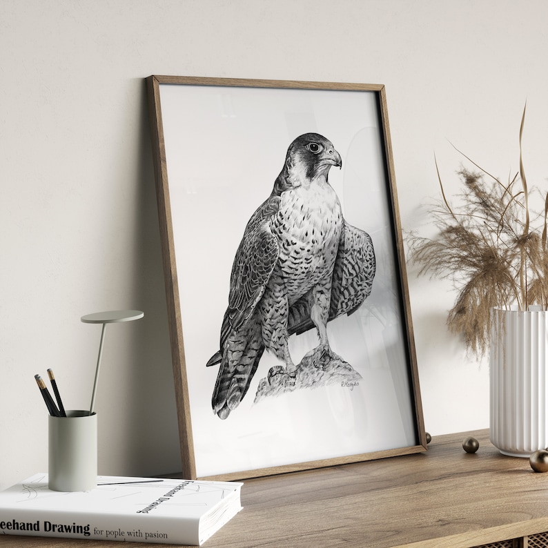 Peregrine Falcon Art PRINT, Bird of Prey Wall Art, Falconry Bird Sketch ...