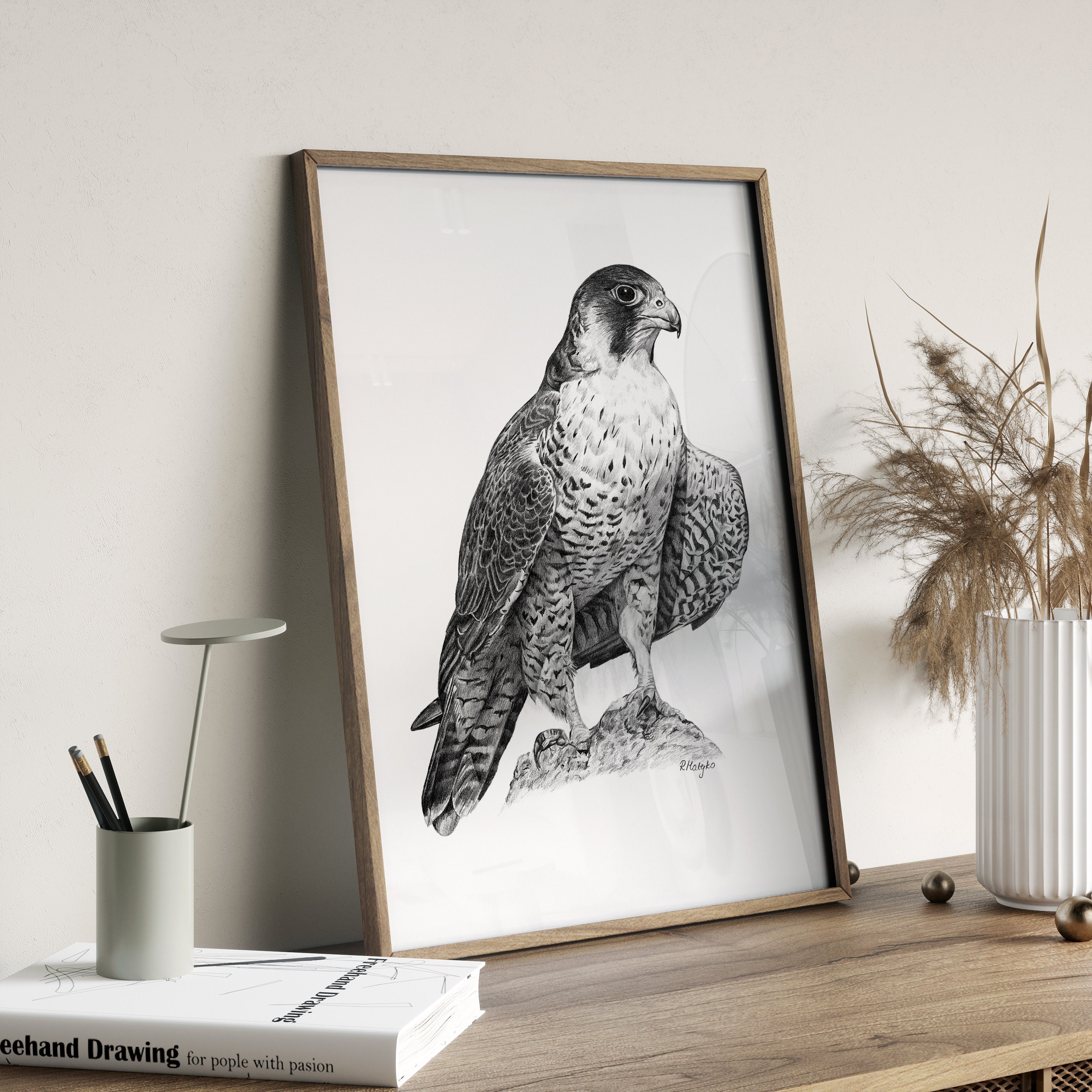 Peregrine Falcon Art PRINT Bird of Prey Wall Art Falconry - Etsy UK