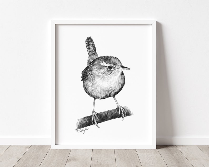 Wren Bird Art PRINT Wren Pencil Drawing Wall Art Garden Bird - Etsy