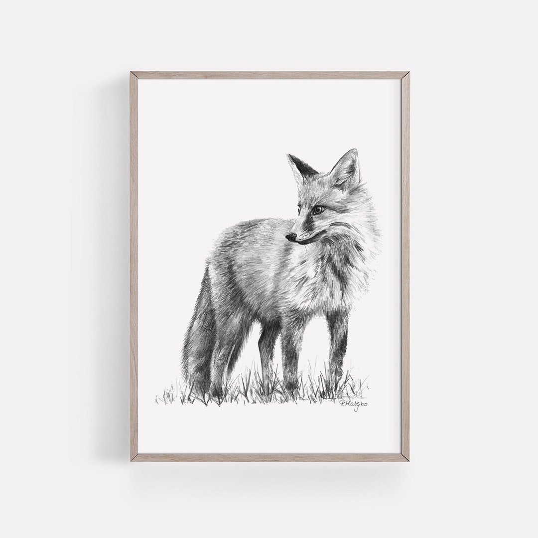 PRINTABLE Fox Art Print, Red Fox Pencil Drawing Wall Art, Woodland ...