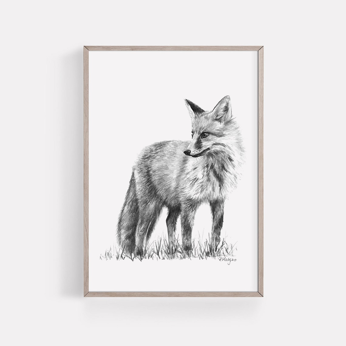 PRINTABLE Fox Art Print, Red Fox Pencil Drawing Wall Art, Woodland ...