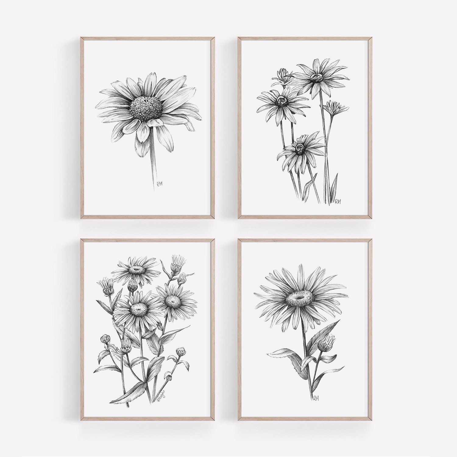 PRINTABLE Daisies Wall Art Print Set of 4, Graphite Pencil Drawing ...