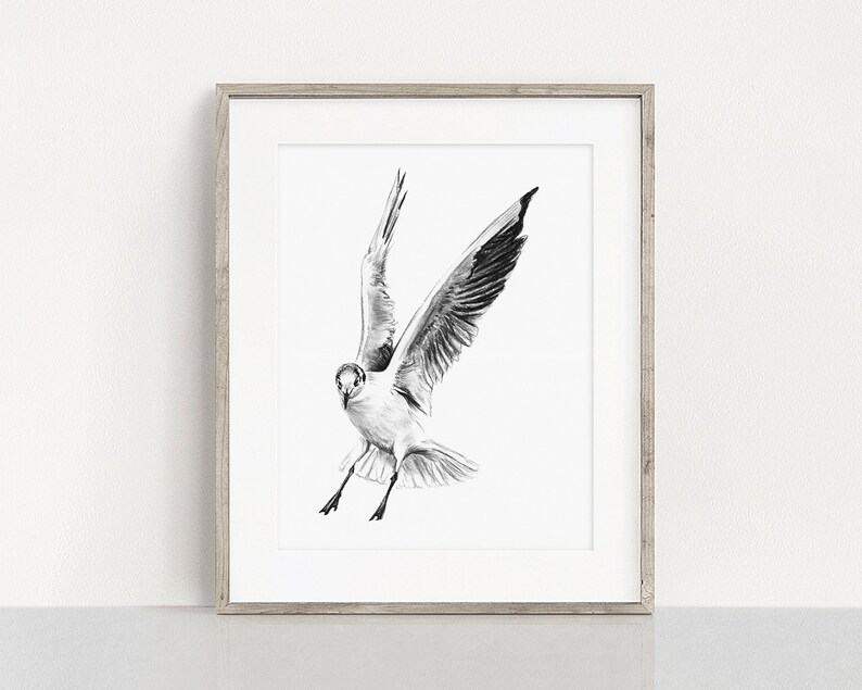 PRINTABLE Seagull Wall Art Print, Charcoal Sketch, Seagull Drawing Wall ...