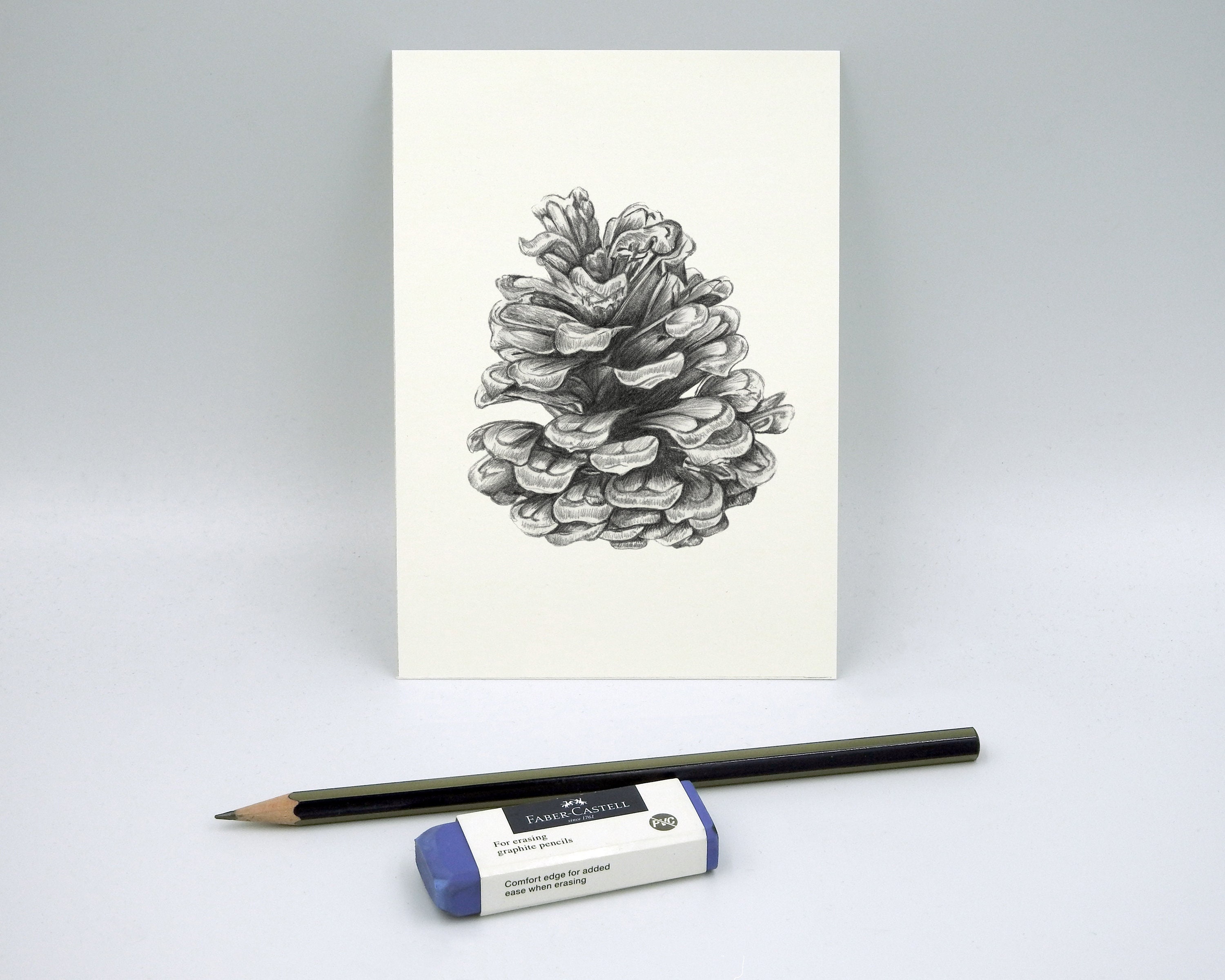 Pine Cone Pencil Drawing