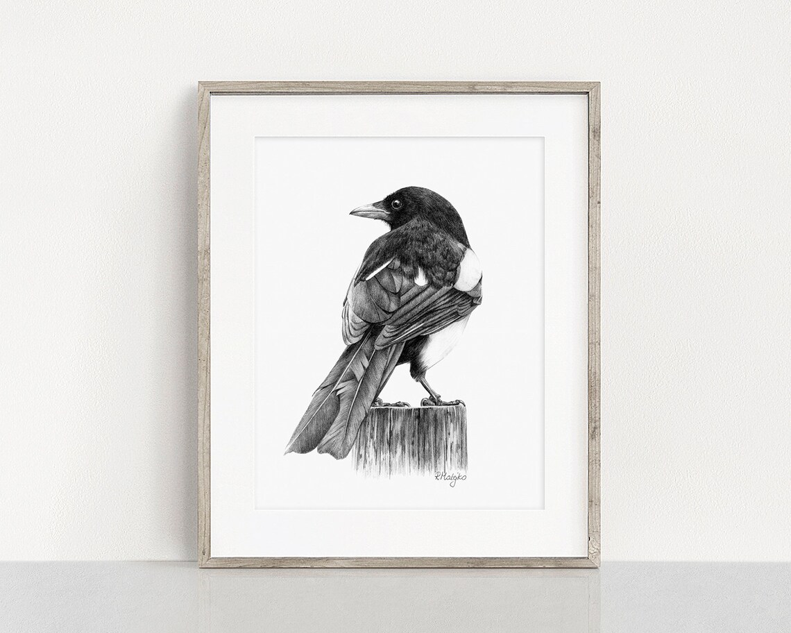 PRINTABLE Magpie Art Print, Magpie Bird Pencil Drawing Wall Art, Corvid ...