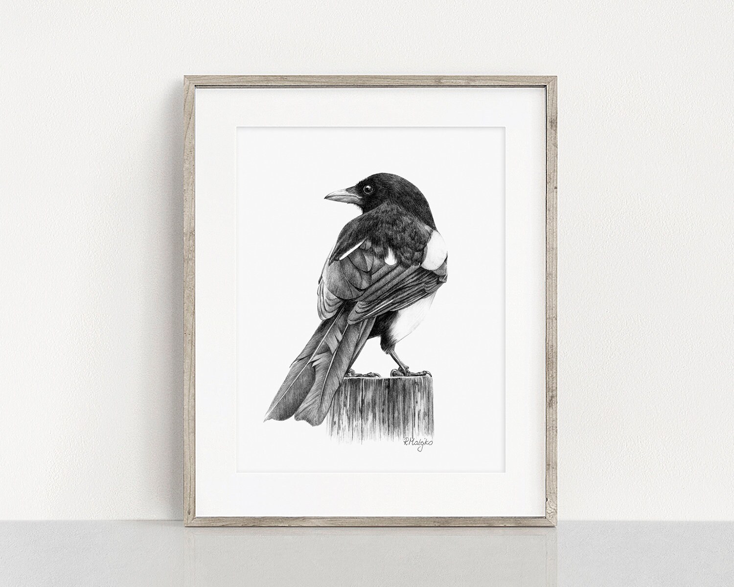 PRINTABLE Magpie Art Print, Magpie Bird Pencil Drawing Wall Art, Corvid ...