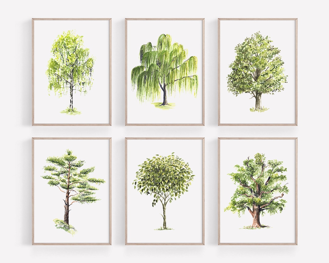 PRINTABLE Tree Art Set of 6 - Watercolor Tree Painting, Pine Silver ...