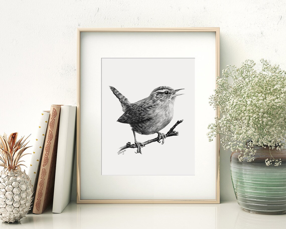 PRINTABLE Wren Art Print Wren Pencil Drawing Wall Art Garden - Etsy