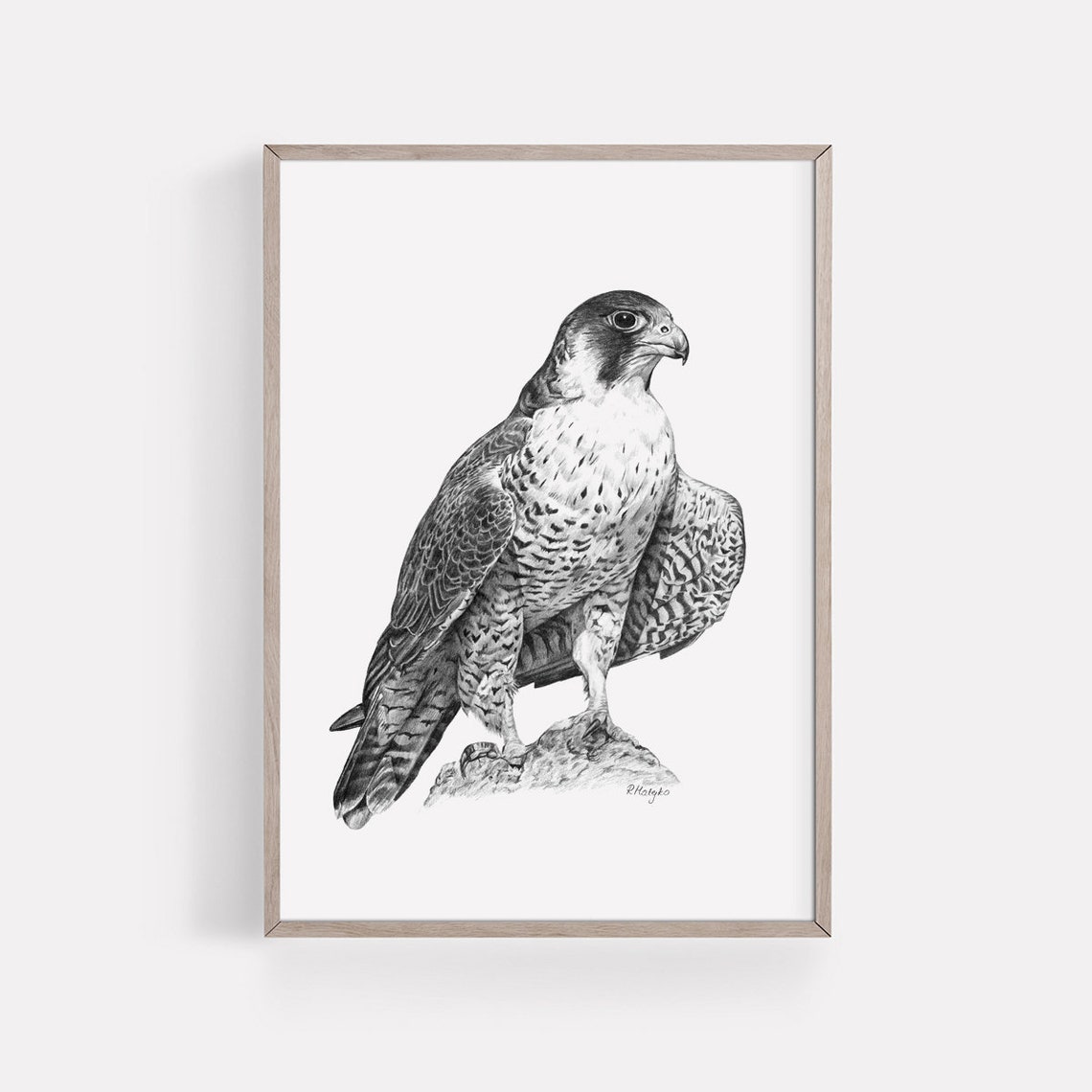 PRINTABLE Peregrine Falcon Art Print, Bird of Prey Wall Art, Printable ...