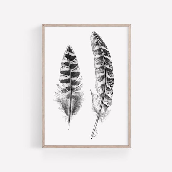 Pheasant Feather Art