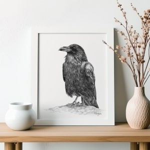 Raven Bird Art PRINT, Pencil Drawing Wall Art, Corvid Crow Bird Print ...