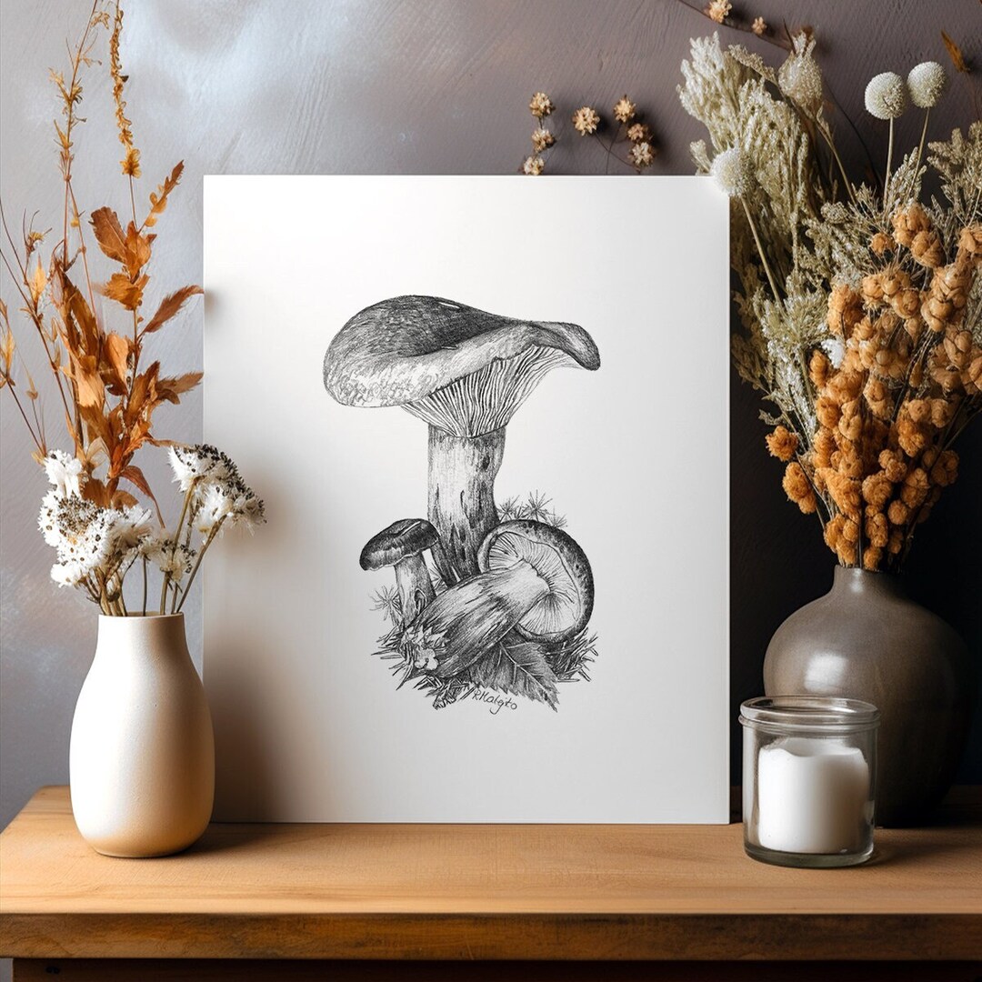 ORIGINAL Mushroom Pencil Drawing, Fungi Wall Art, Forest Woodland ...
