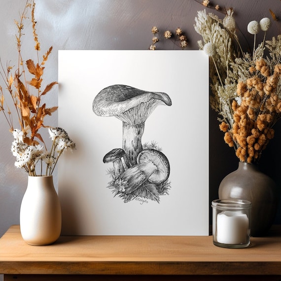 Dessins Au Crayon De Champignons Dessin Aux Champignons' Autocollant