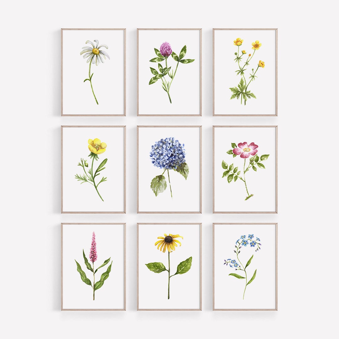 Wild Flowers Art PRINT Set of 9, Watercolor Summer Garden Flower Wall ...
