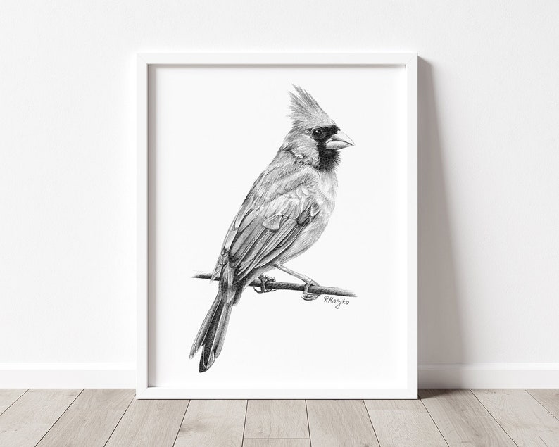 PRINTABLE Northern Cardinal Art Print Red Cardinal Pencil - Etsy