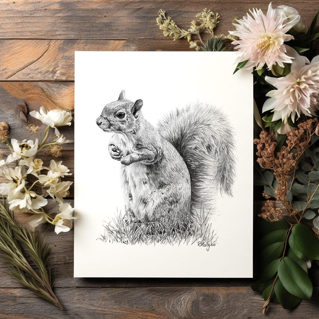 ORIGINAL Squirrel Pencil Drawing, Squirrel Wall Art, Nature Woodland ...