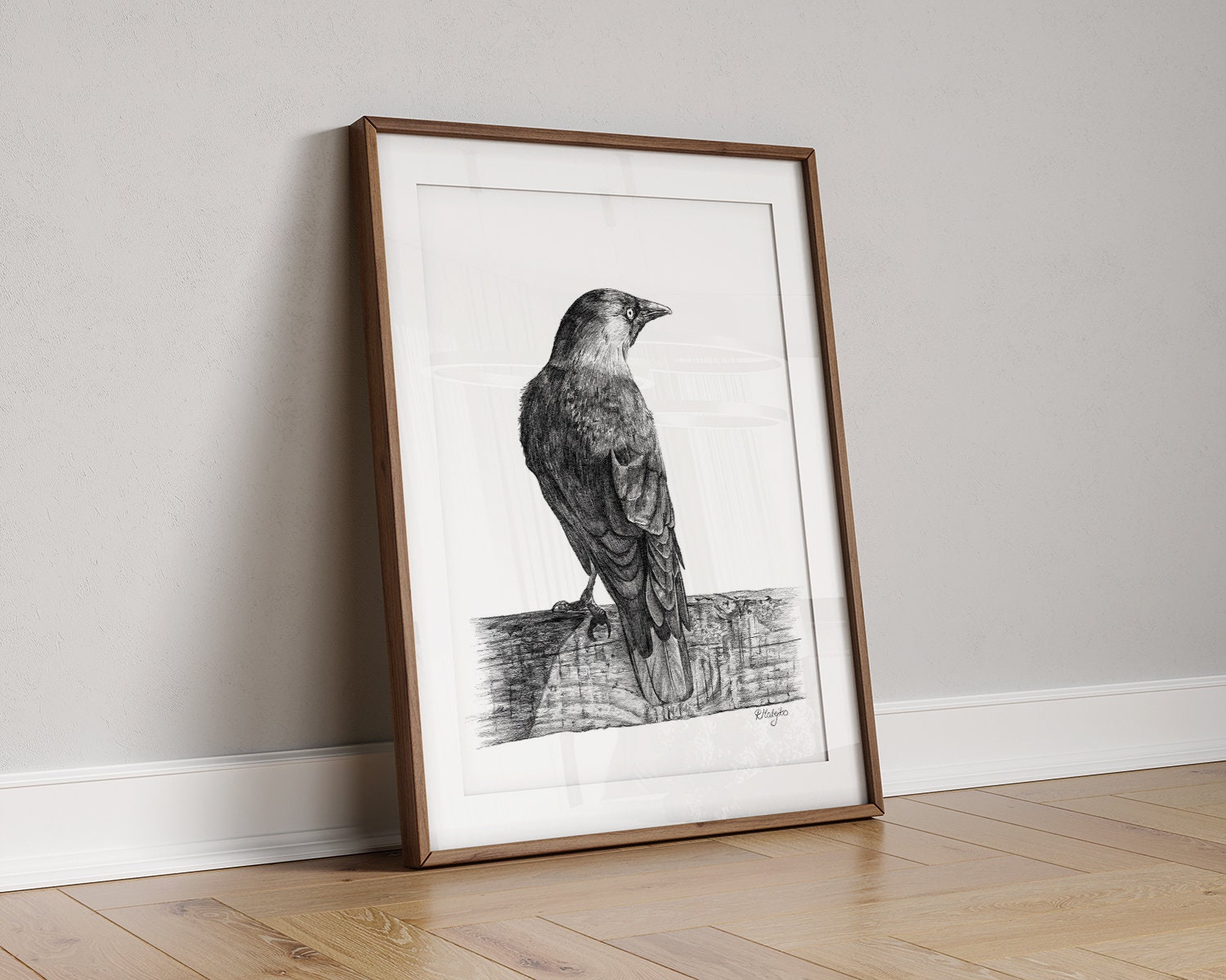 Jackdaw Art PRINT, Corvid Bird Pencil Drawing Wall Art, Wildlife Print ...