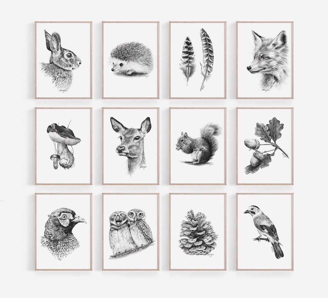 PRINTABLE Woodland Wall Art PRINT Set of 12, Pencil Drawing Autumn ...