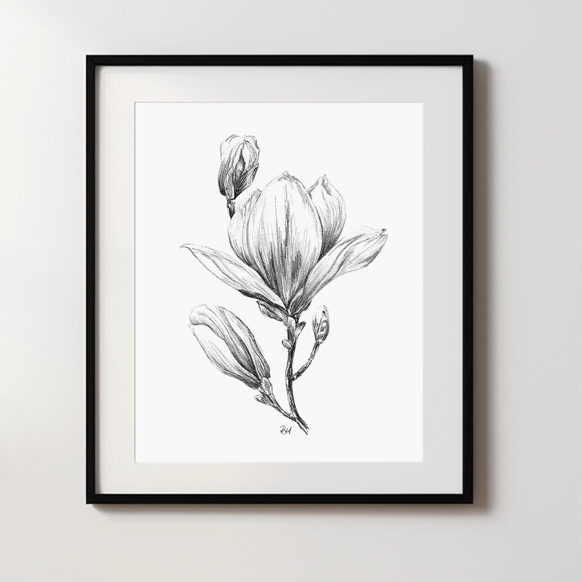 PRINTABLE Magnolia Art Print, Graphite Pencil Drawing, Botanical Wall ...