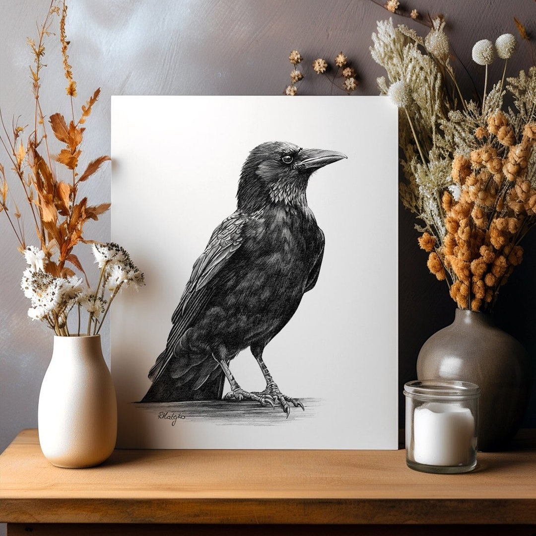 ORIGINAL Raven Pencil Drawing, Carrion Crow Bird Wall Art, Nature ...