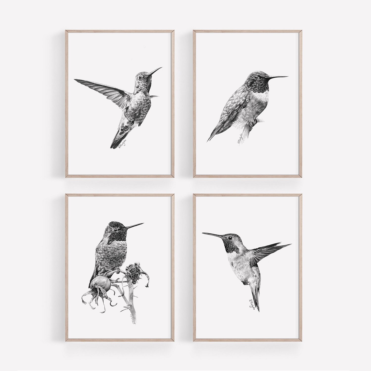 PRINTABLE Hummingbirds Wall Art Print Set of 4 Hummingbirds - Etsy