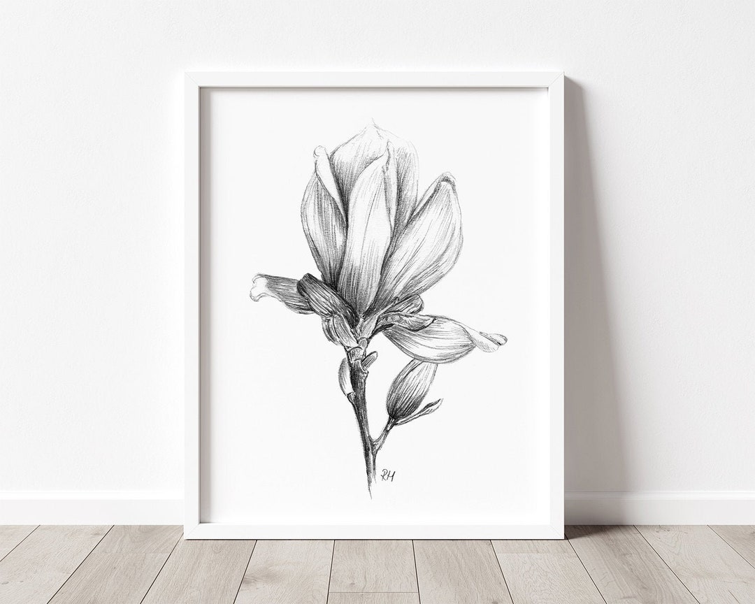 PRINTABLE Magnolia Art Print, Graphite Pencil Drawing, Botanical Wall ...