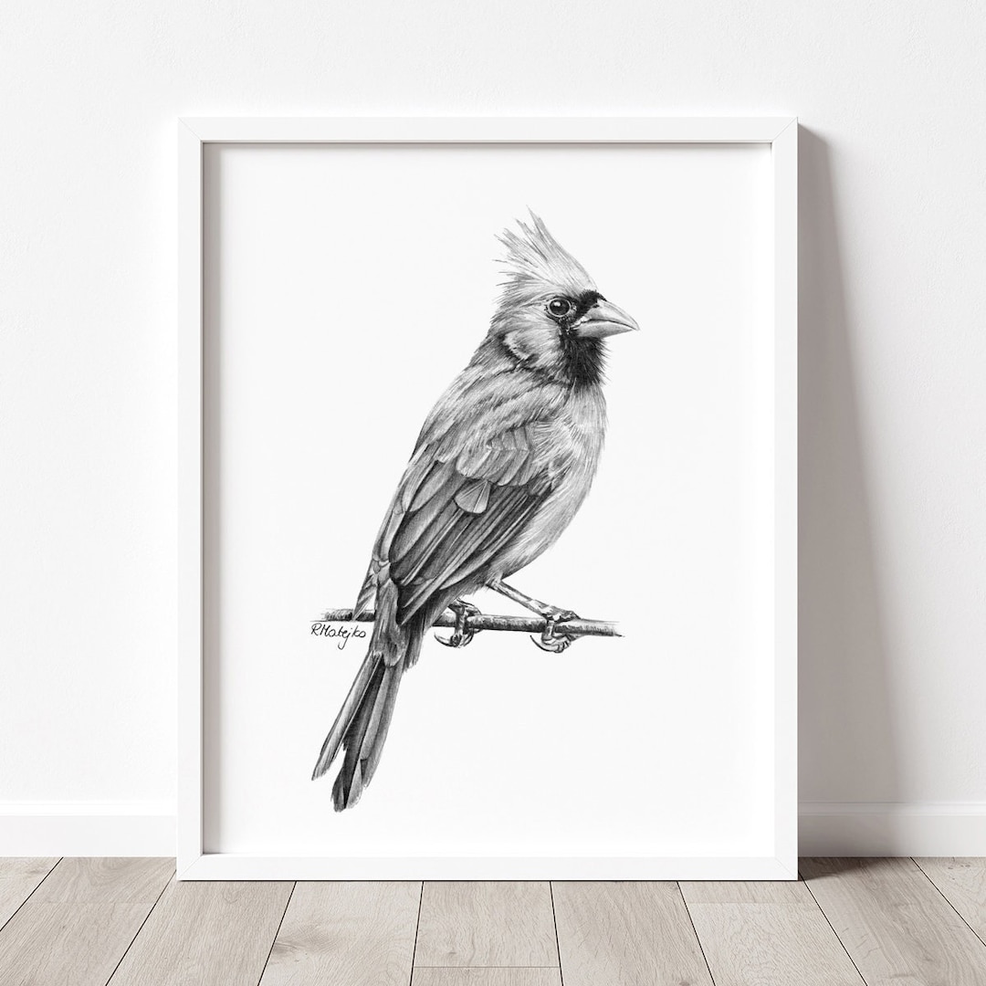 PRINTABLE Northern Cardinal Art Print, Red Cardinal Pencil Drawing Wall ...