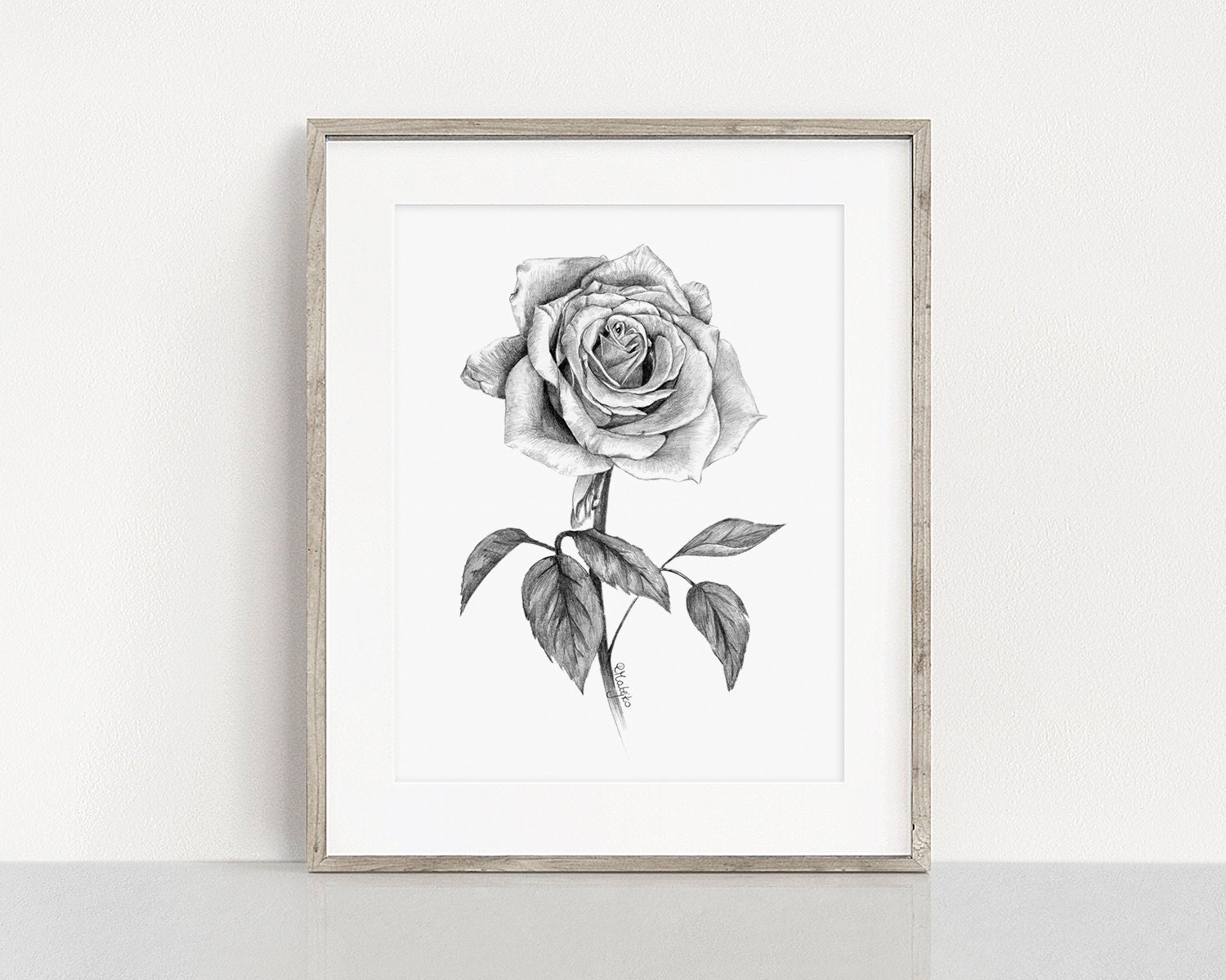 PRINTABLE Rose Art Print Graphite Pencil Drawing Botanical - Etsy