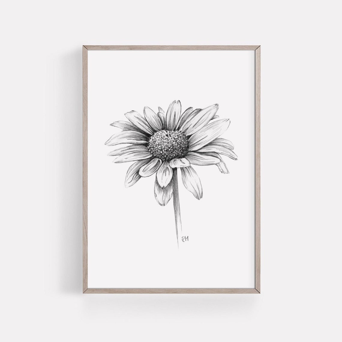 PRINTABLE Daisy Art Print Graphite Pencil Drawing Botanical - Etsy