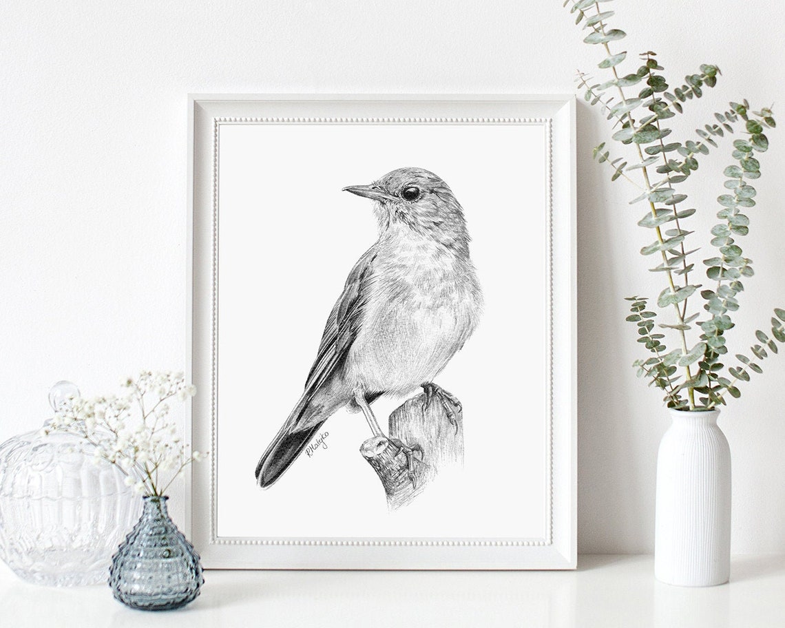 PRINTABLE Nightingale Art Print Nightingale Pencil Drawing - Etsy