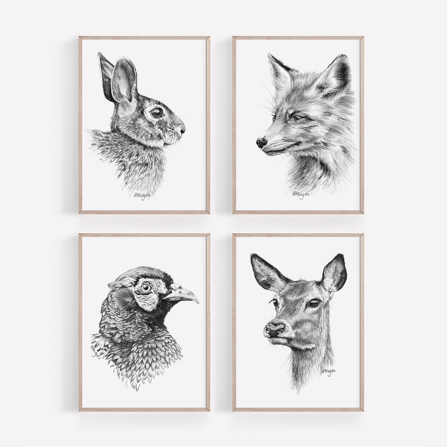 PRINTABLE Rabbit Fox Pheasant Deer Wall Art Print Set of 4, Pencil ...