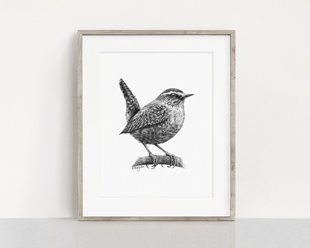 Wren Bird Art PRINT, Wren Pencil Drawing Wall Art, Garden Bird Jenny ...