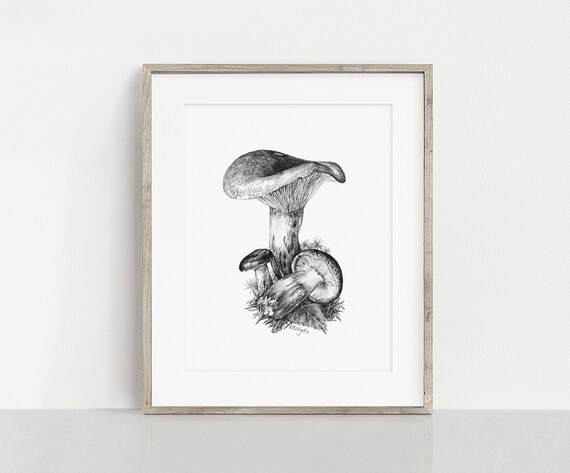 Dessins Au Crayon De Champignons Dessin Aux Champignons' Autocollant