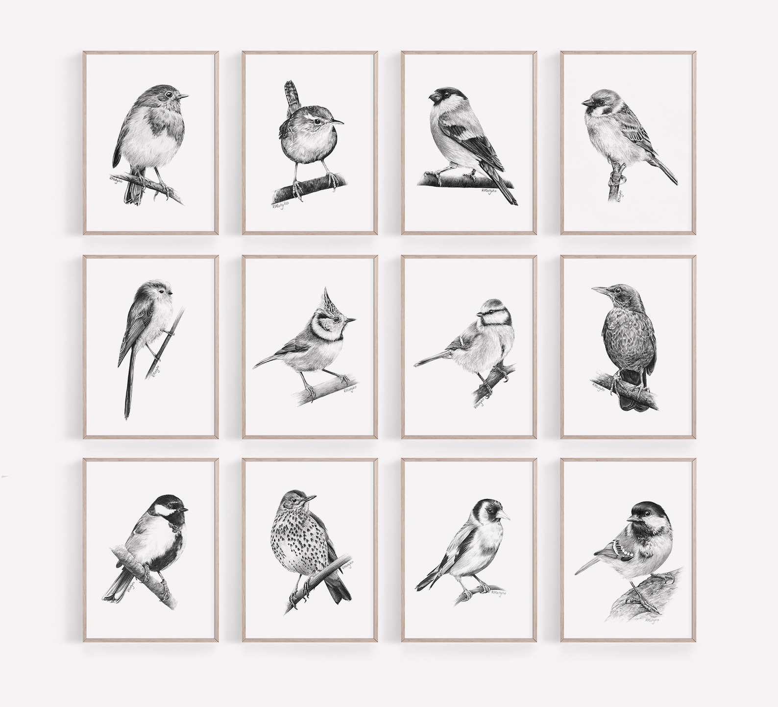 PRINTABLE Garden Birds Print Set of 12 Birds Pencil Drawing - Etsy