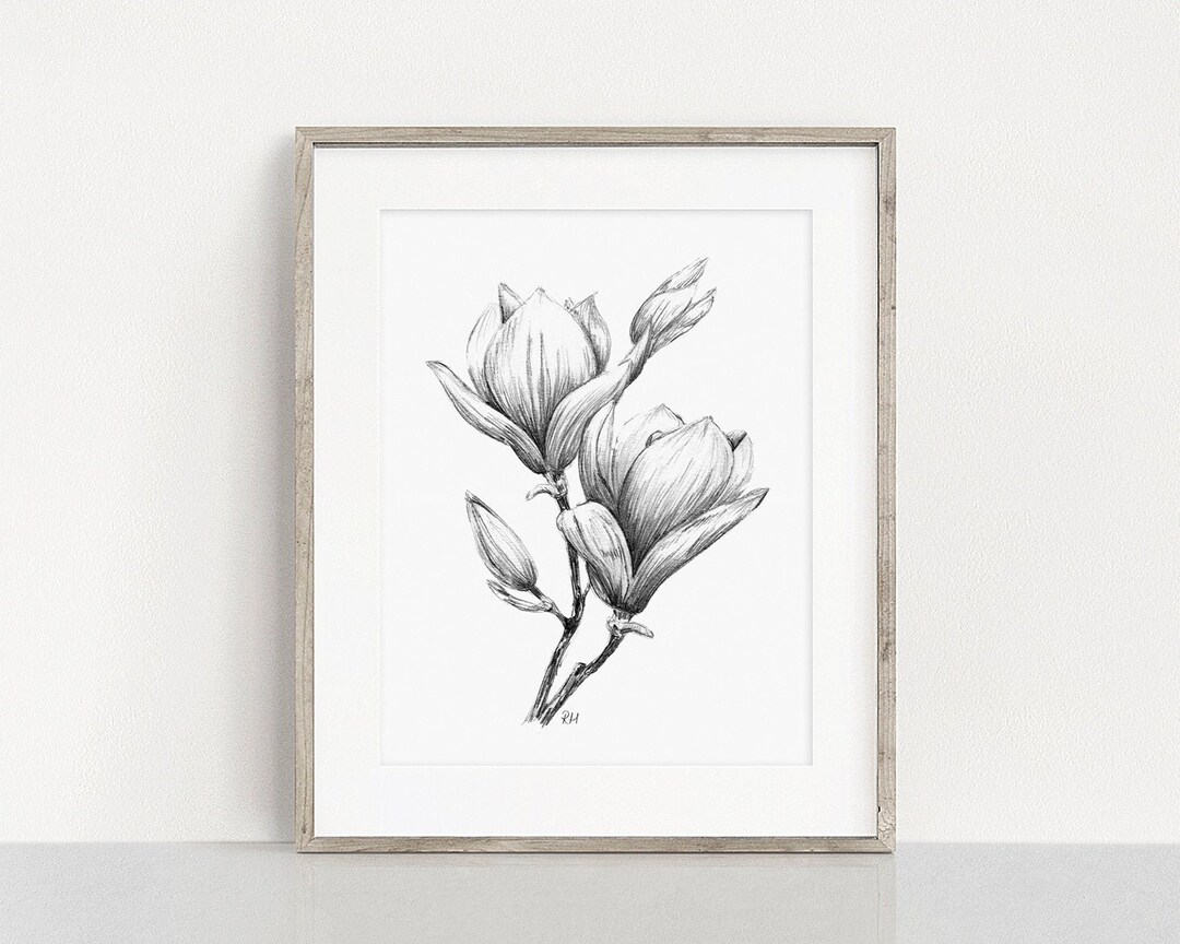 PRINTABLE Magnolia Art Print, Graphite Pencil Drawing, Printable ...